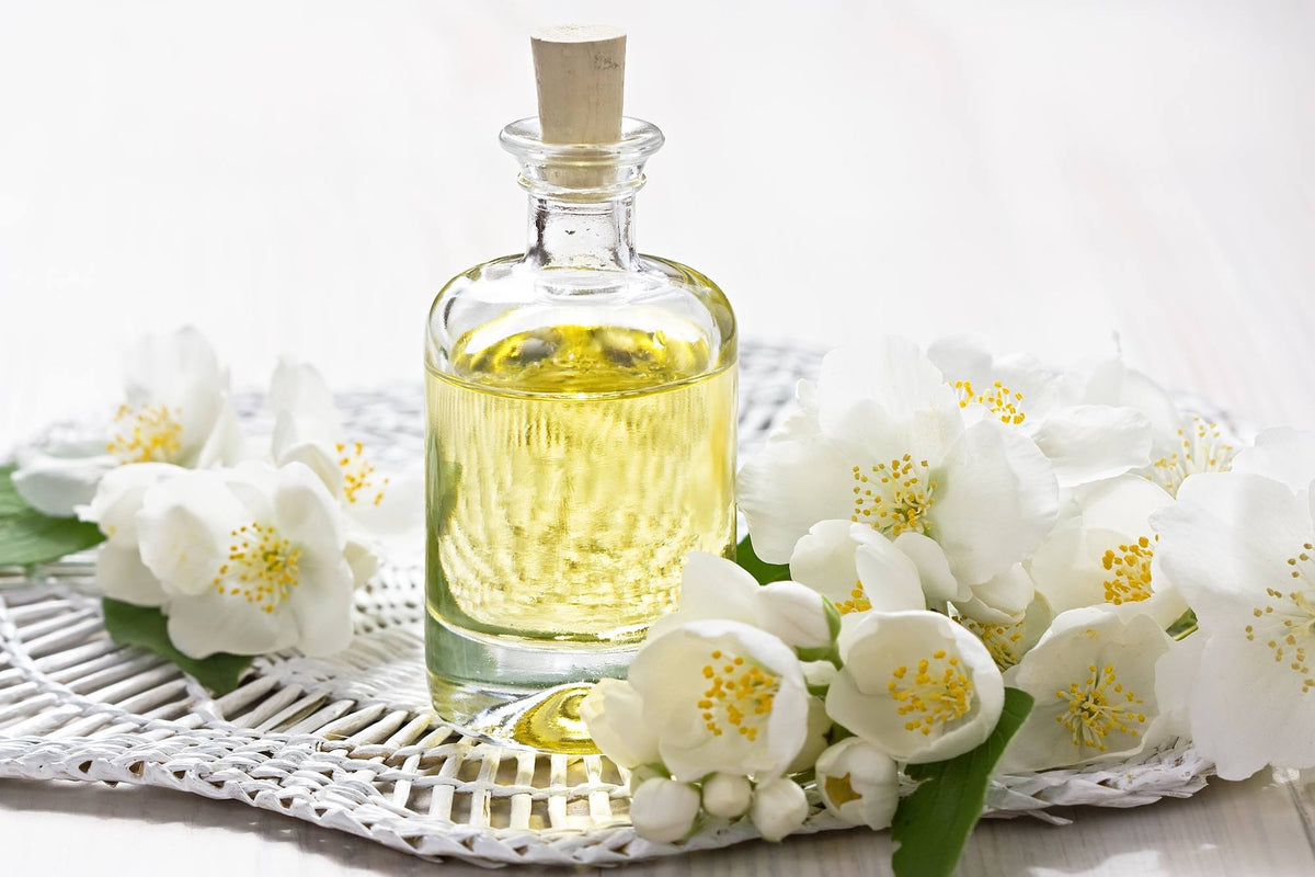 8 Benefits and Uses of May Chang Oil | Nikura